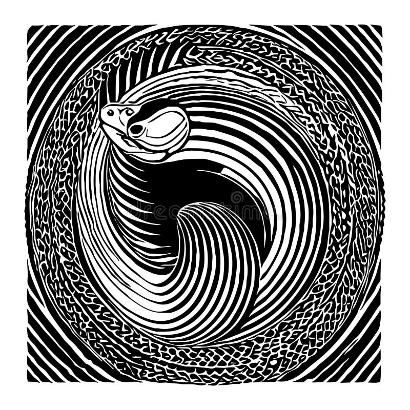 Snake . Black and White Illustration Stock Illustration - Illustration ...
