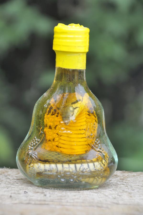Snake in a Bottle of Alcohol Stock Photo - Image of tradition, food ...