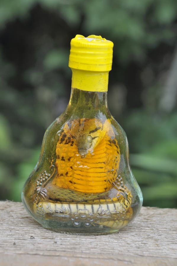 Snake in a Bottle of Alcohol Stock Photo - Image of culture, asia ...