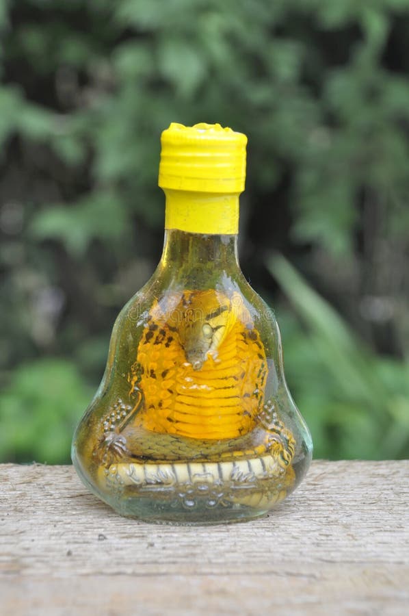 Snake in a Bottle of Alcohol Stock Image - Image of tradition, reptile ...