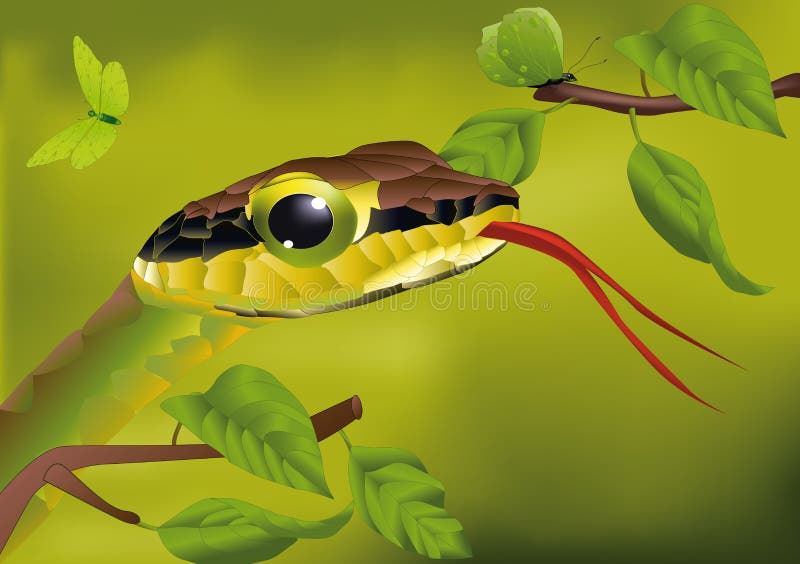 Snake and the butterfly stock vector. Illustration of life - 12851263