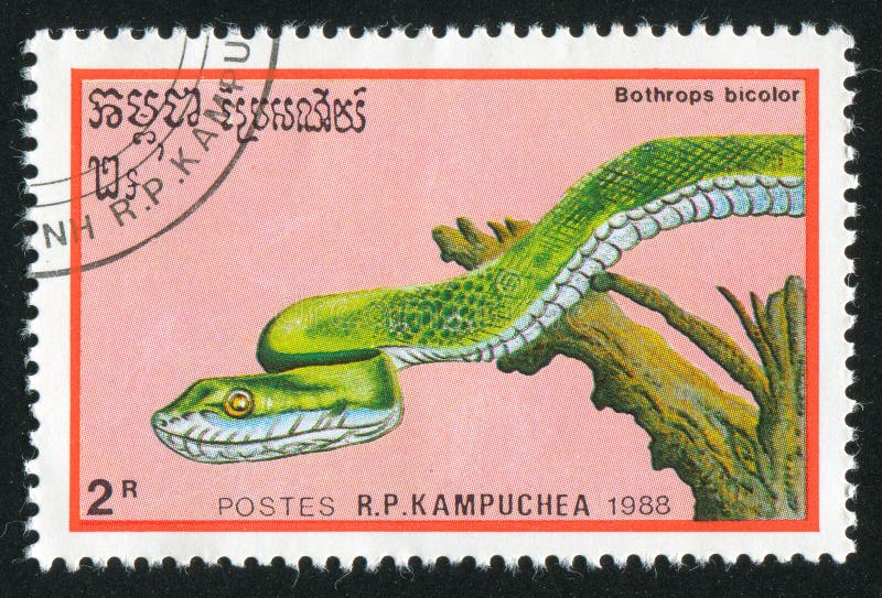 Snake editorial stock photo. Image of postmark, hunting - 231615693