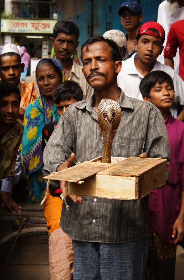 Snake charmer stock image. Image of watch, print, india - 8355895