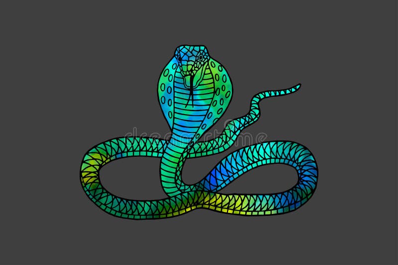Snake Cobra Graphic Patterns. Eps10 Vector Illustration. Hand Drawing ...