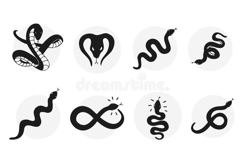 Snake Colorless Element Set Illustration Stock Vector - Illustration of ...
