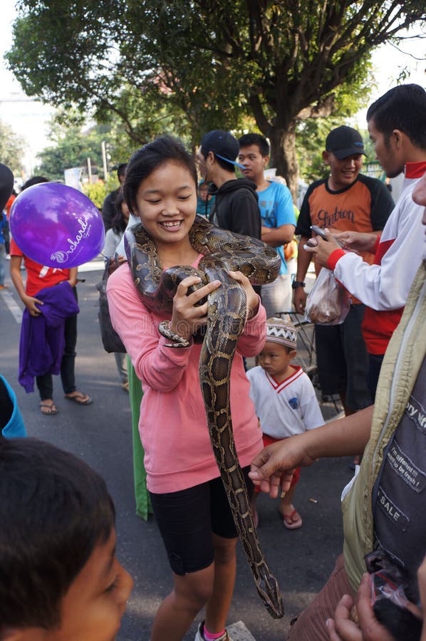 Snake editorial image. Image of product, event, tree - 41573435