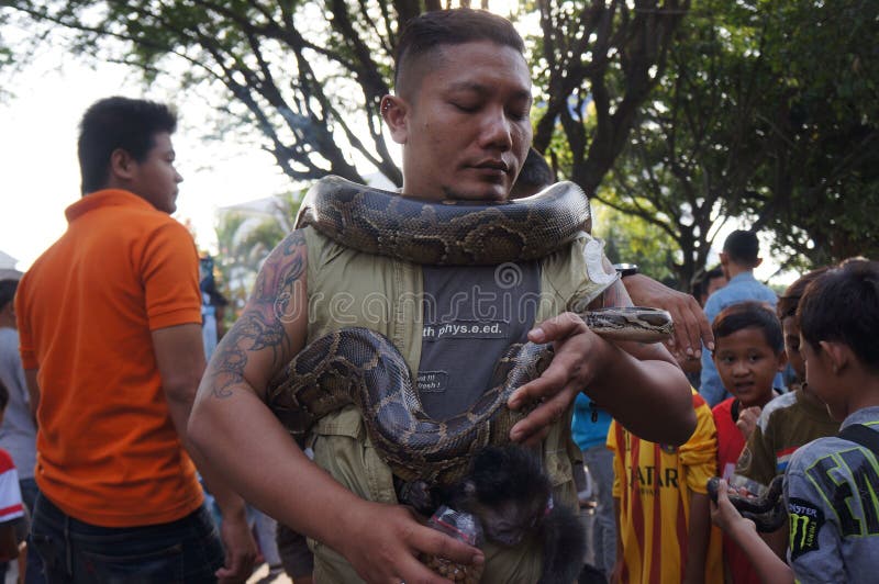 332 Snake People Crowd Stock Photos - Free & Royalty-Free Stock Photos ...