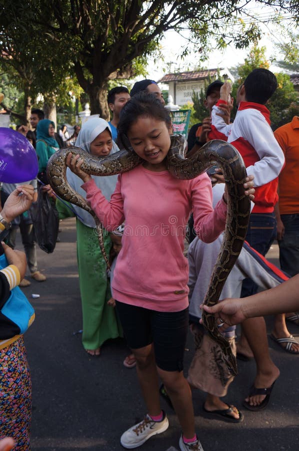 332 Snake People Crowd Stock Photos - Free & Royalty-Free Stock Photos ...