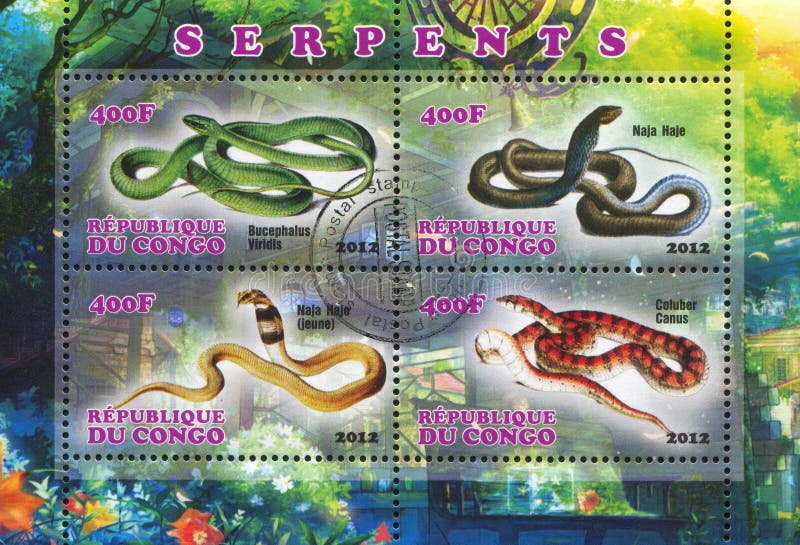 Snake editorial image. Image of creature, envelope, postcard - 321965985