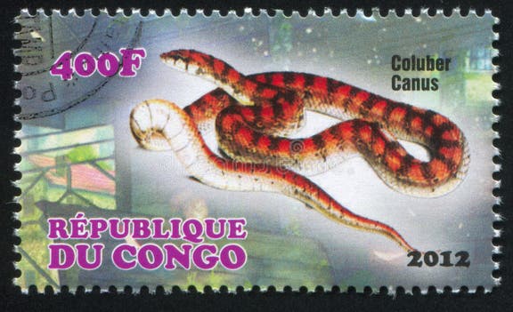 Snake editorial image. Image of congo, hunting, postmark - 321966540