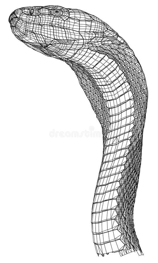 Snake Polygonal Lines Illustration. Vector Snake. Stock Illustration ...