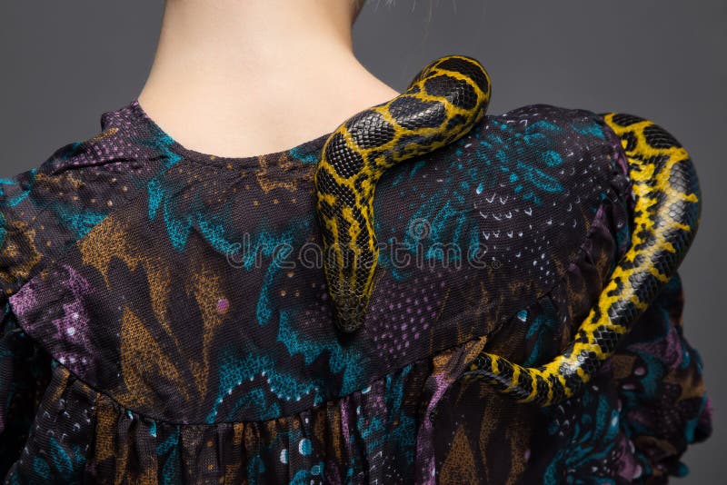 318 Snake Shoulder Stock Photos - Free & Royalty-Free Stock Photos from ...