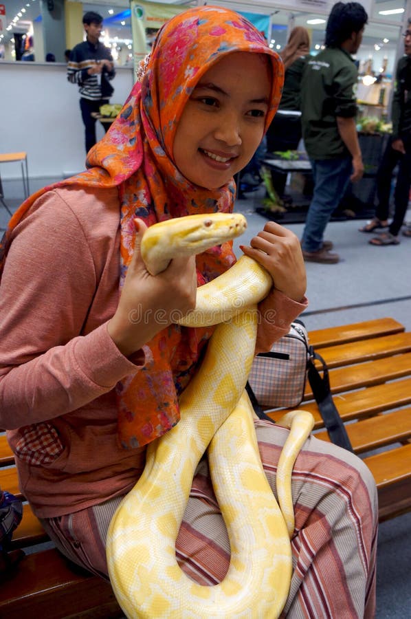 Snake editorial stock photo. Image of java, shopping - 48808778