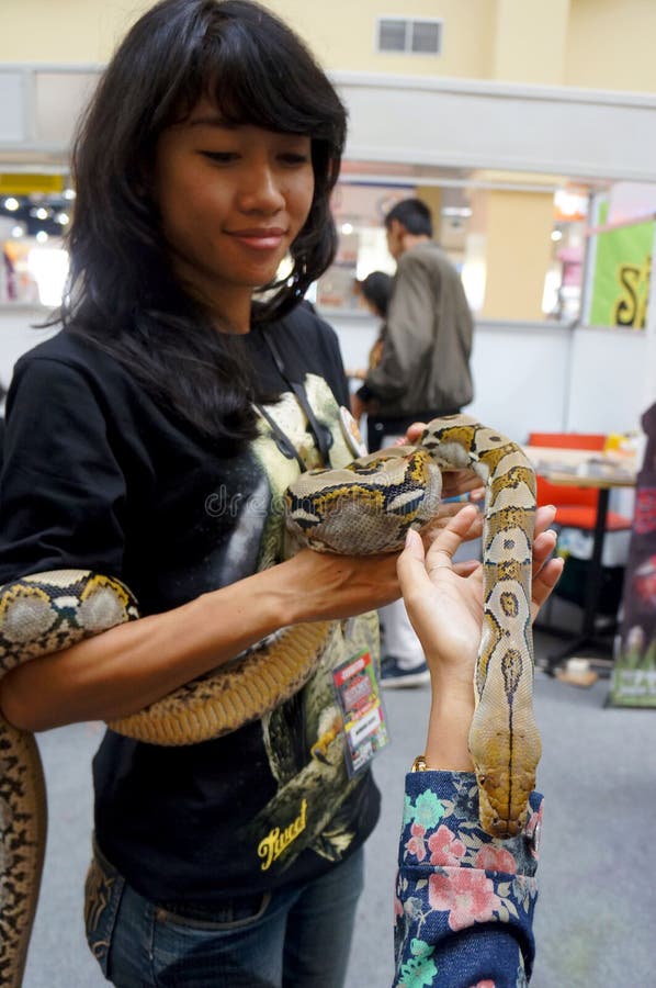 Snake editorial stock photo. Image of gathered, community - 48809043
