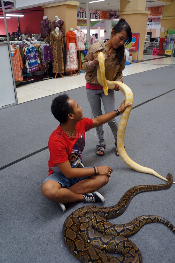 Snake editorial image. Image of girl, indonesia, mall - 48809060
