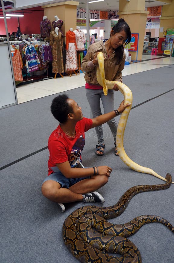 Snake editorial image. Image of girl, indonesia, mall - 48809060
