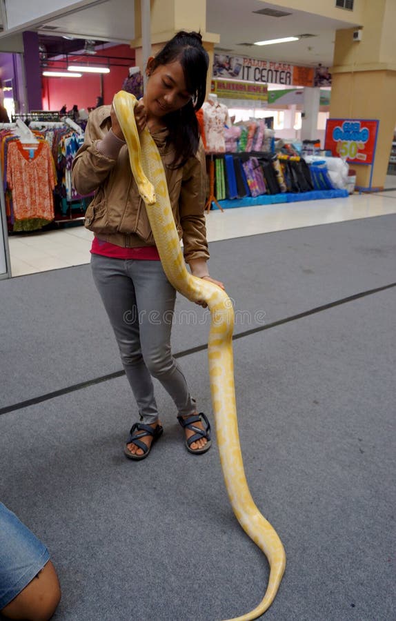 Snake editorial stock photo. Image of community, gathered - 48809078