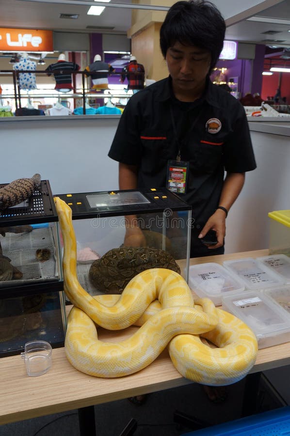 Snake editorial image. Image of gathered, shopping, mall - 48809090