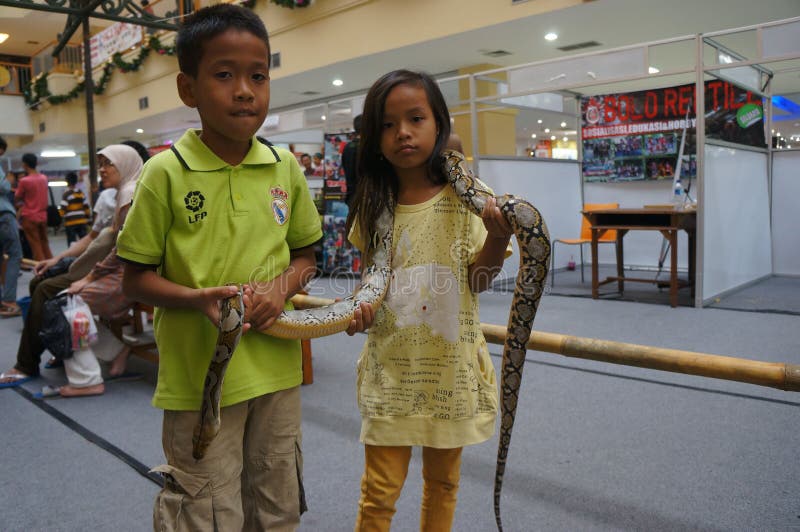 Snake editorial image. Image of indonesia, recreation - 48809115