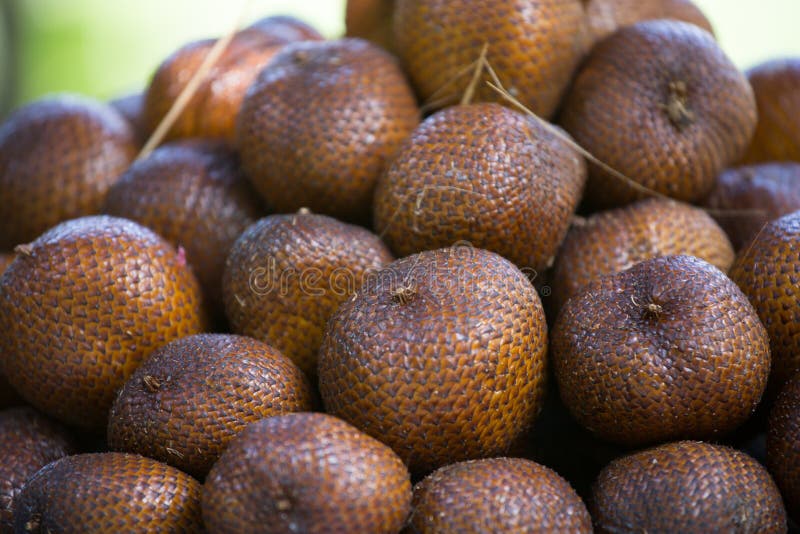 Snake Fruit stock image. Image of produce, plant, indonesia - 7813507