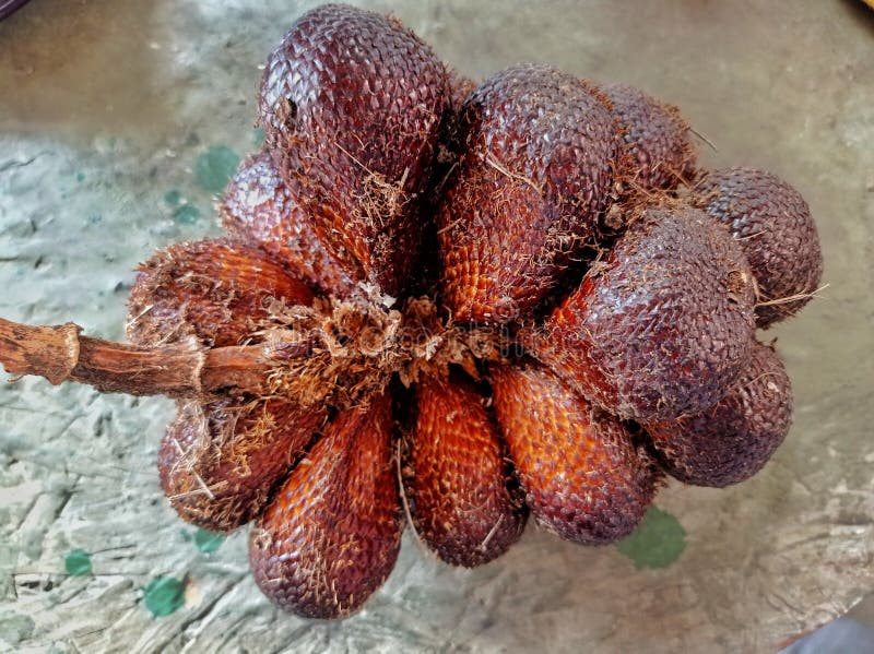Snake Fruit Freshly Picked from the Tree Stock Image - Image of juice ...