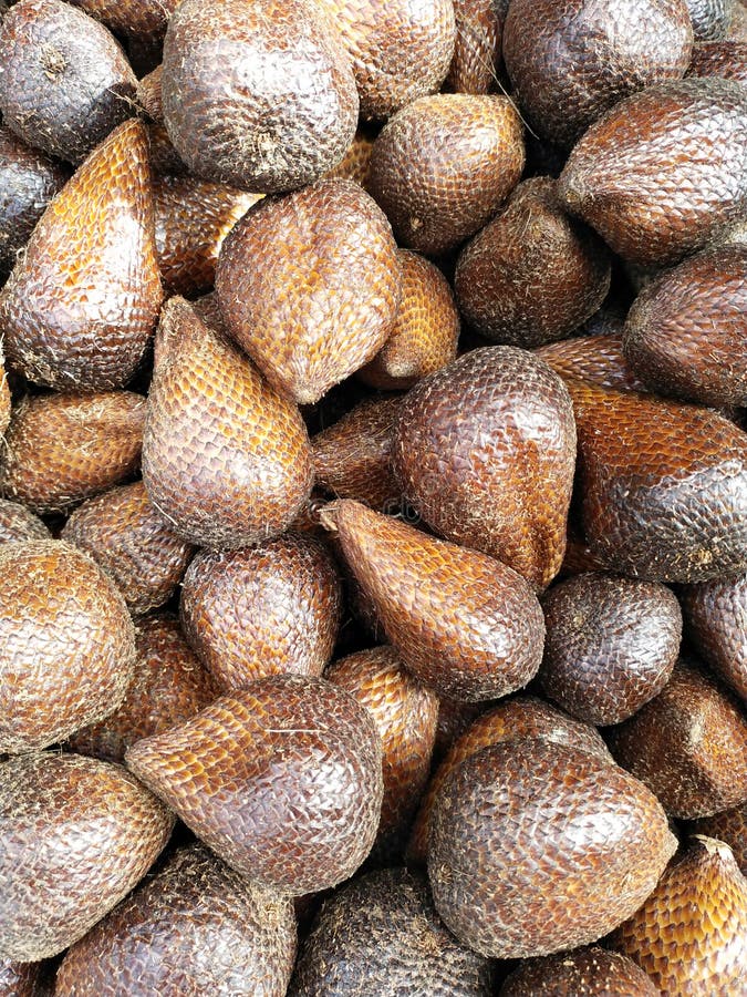 Snake Fruit from Indonesian Stock Photo - Image of produce, snake ...