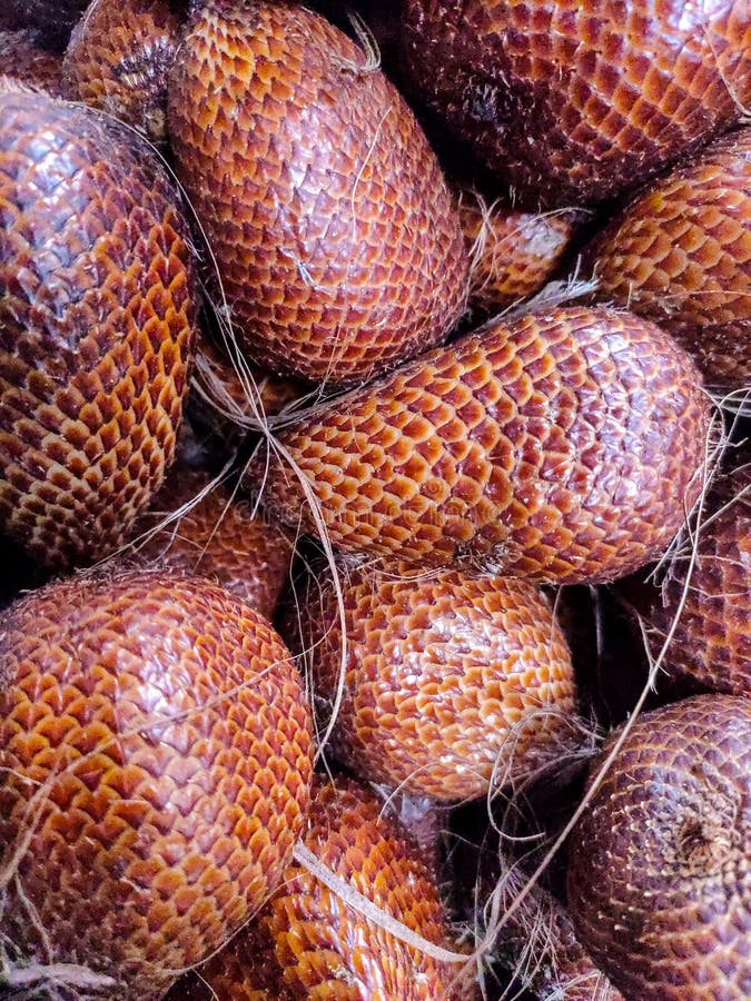 Snake Fruit Just Like a Snake Stock Photo - Image of market, flower ...