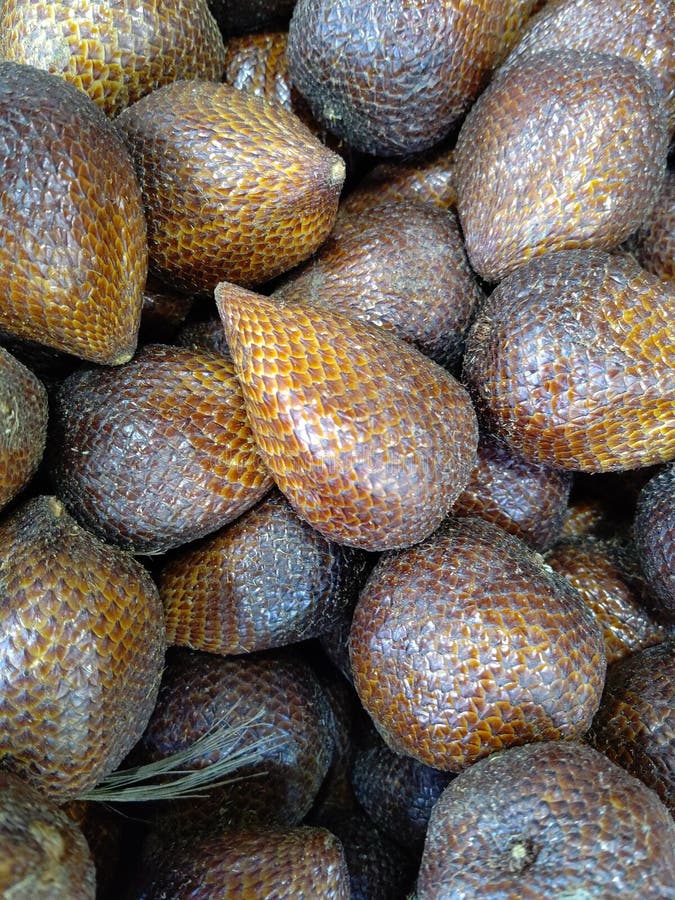 Snake Fruit Local Fruit from Indonesian S Stock Image - Image of local ...