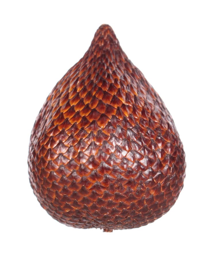 Brown Fruit Rot of Apple Caused by Monilia Fungus Stock Photo - Image ...