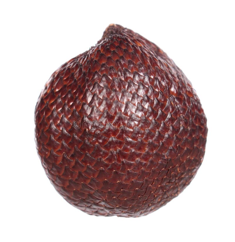 Brown Fruit Rot of Apple Caused by Monilia Fungus Stock Photo - Image ...