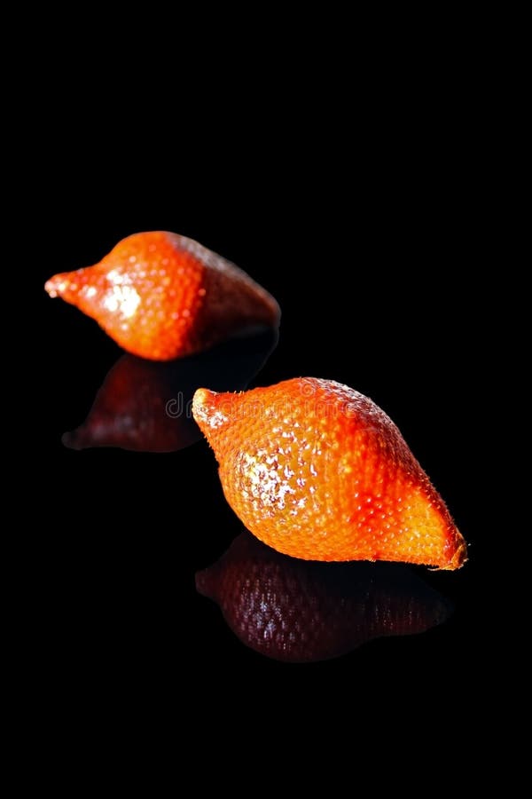 Snake Fruit, Snake Skin Fruit Stock Photo - Image of asia, arecaceae ...