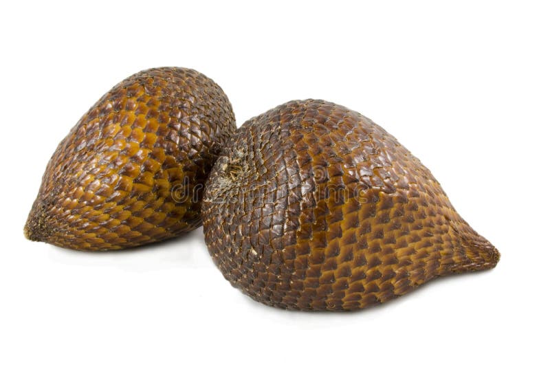 Snake Fruit stock photo. Image of thailand, food, fresh - 10484542
