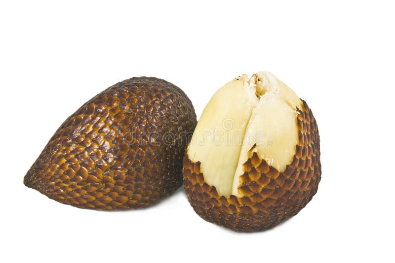 Snake Fruit stock photo. Image of thailand, food, fresh - 10484542