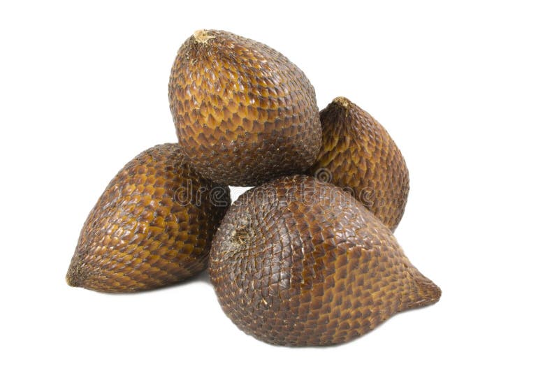 Snake Fruit stock photo. Image of thailand, food, fresh - 10484542