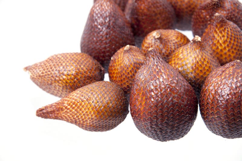 Snake Fruits stock image. Image of fresh, tropical, delicious - 20897693