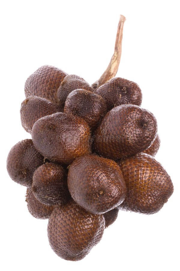 Oil Palm Fruits stock image. Image of cook, plantation - 3325869