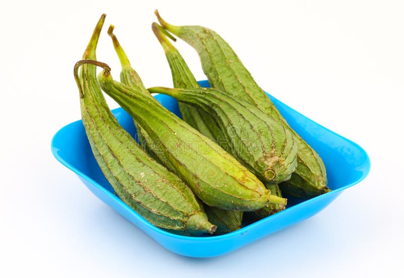 Snake Gourd stock image. Image of serpent, harvest, organic - 90667655