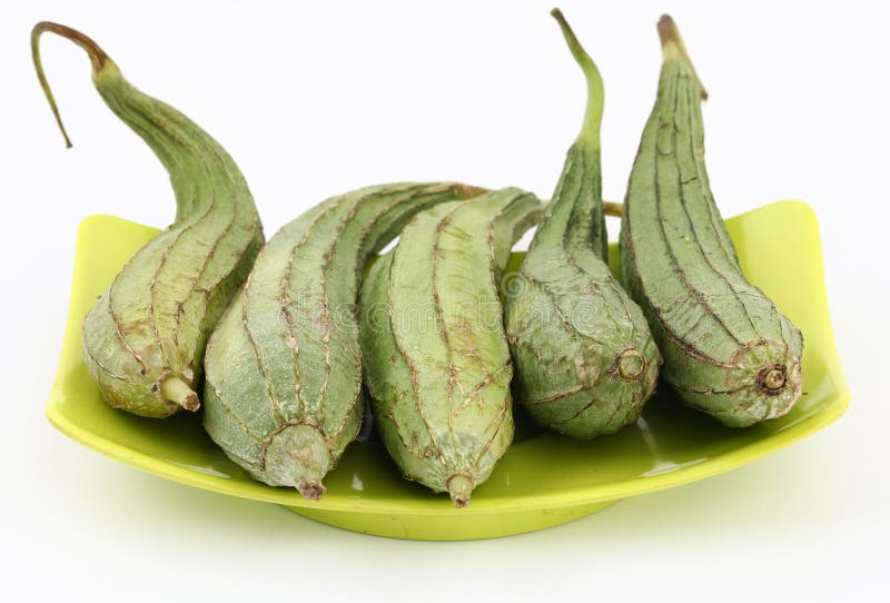 Snake Gourd stock photo. Image of market, fresh, long - 90670192