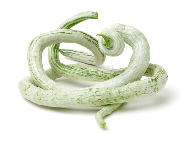 Snake Gourd, Sri Lankan Vegetable, Name in Sinhala Pathola, Scientific ...