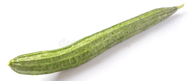 Vegetable-Snake Gourd Just Cropped Stock Photo - Image of health ...