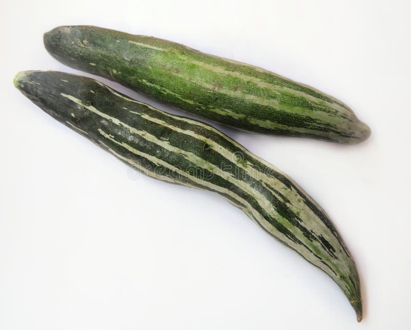 135 Parol Stock Photos - Free & Royalty-Free Stock Photos from Dreamstime