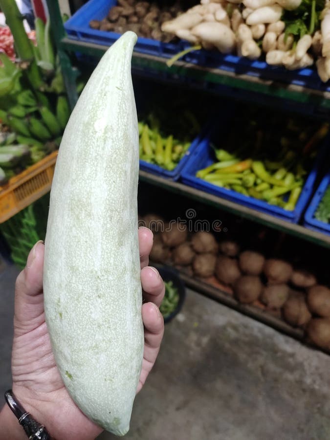 Snake Gourd. Vegetable Shopping Stock Photo - Image of bangalore ...