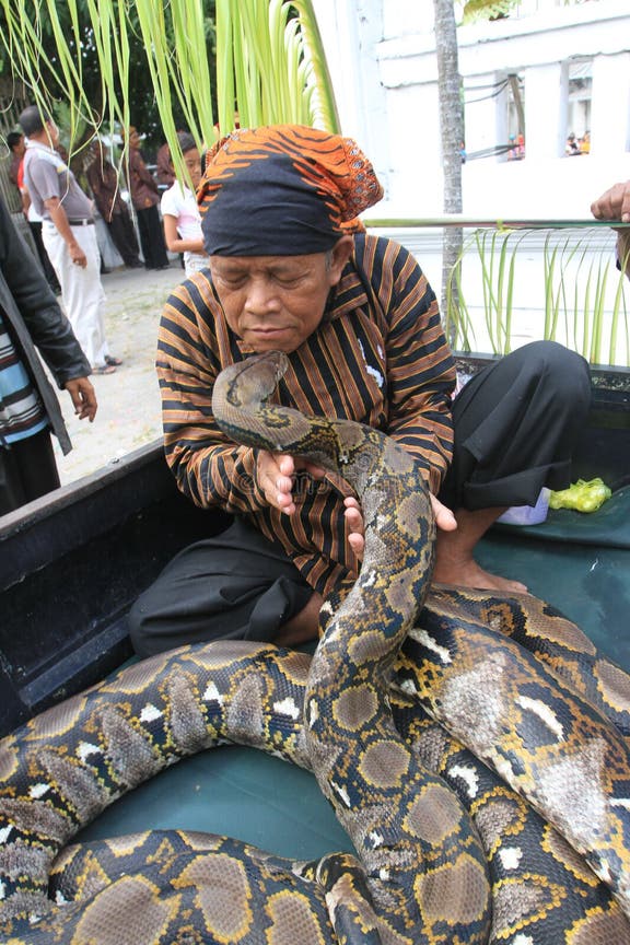 Snake editorial stock photo. Image of city, solo, central - 45917003