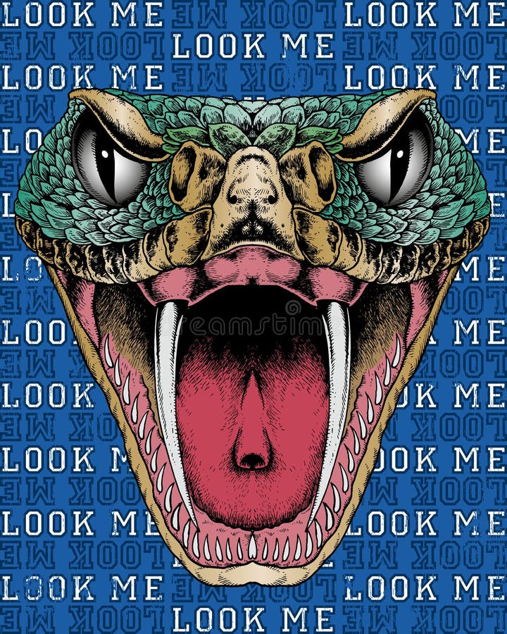 Snake head illustration stock vector. Illustration of colorful - 17048172