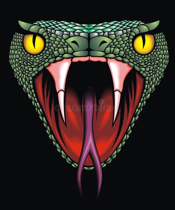 Rattlesnake Head Stock Illustrations – 639 Rattlesnake Head Stock ...