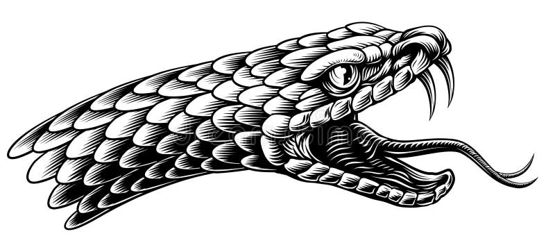 Snake Head Woodcut Vintage Etched Woodcut Style Stock Vector ...