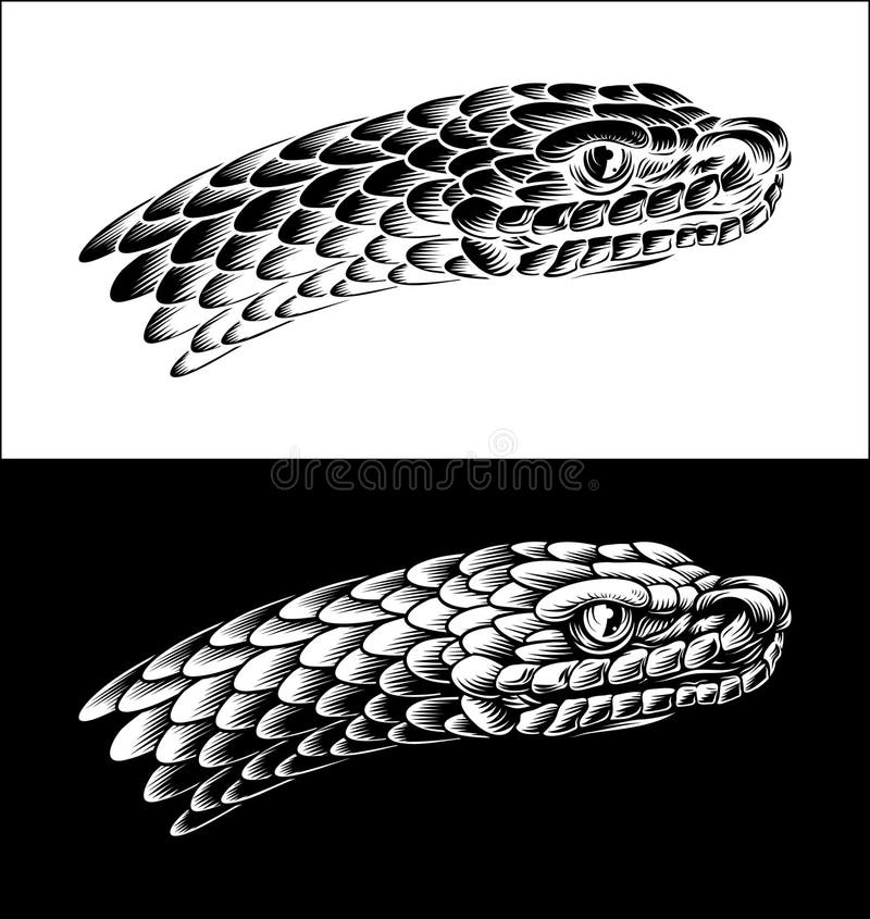 Snake Head Woodcut Vintage Etched Woodcut Style Stock Illustration ...