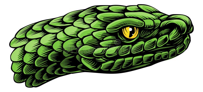 Snake Head Woodcut Vintage Etched Woodcut Style Stock Vector ...