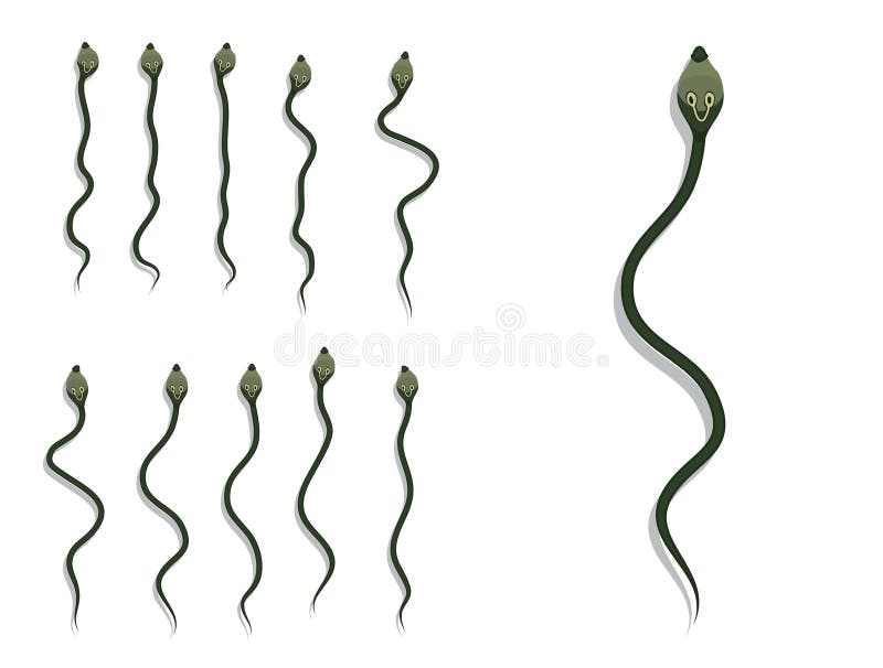 Snake Indian Cobra Animal Animation Sequence Cartoon Vector Stock ...