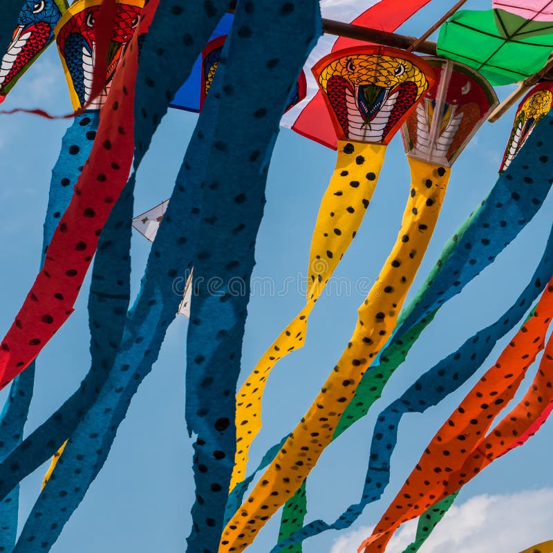 Snake kites stock photo. Image of outdoor, leisure, kite - 71134228